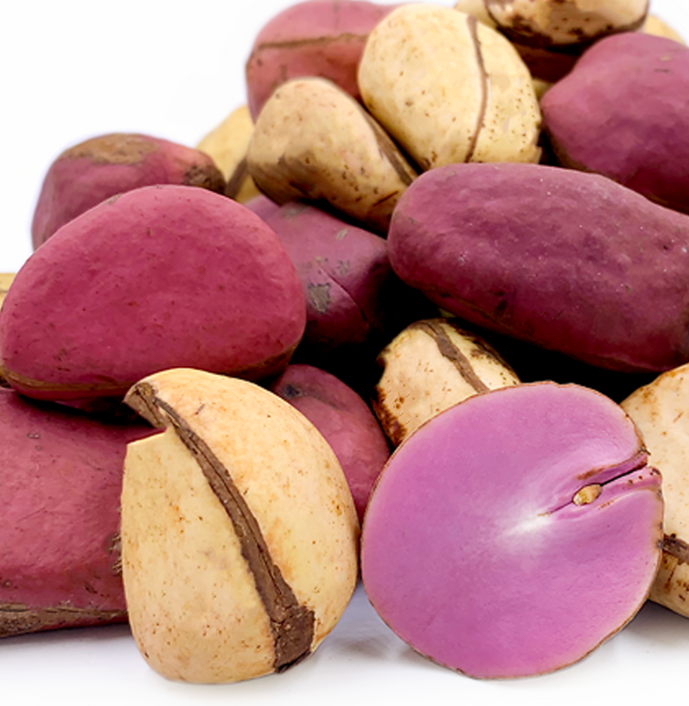 KOLA NUT 100G – Fiducia African Shop